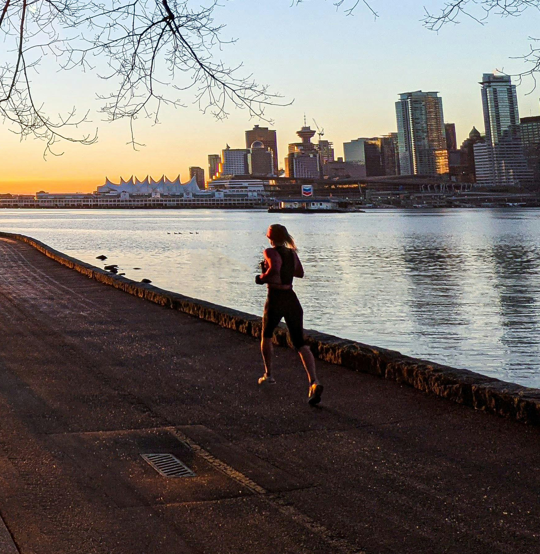 STRIVE | Mindset Coaching Programme | The Evolve Co.